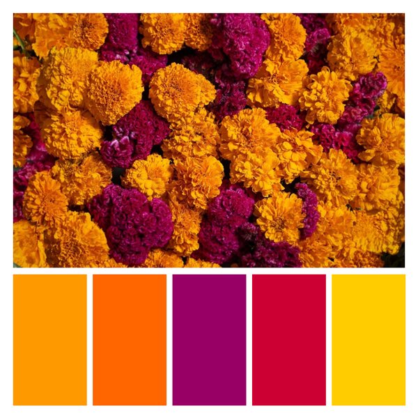 Marigold Magnificence - Color Palette | Color Labs